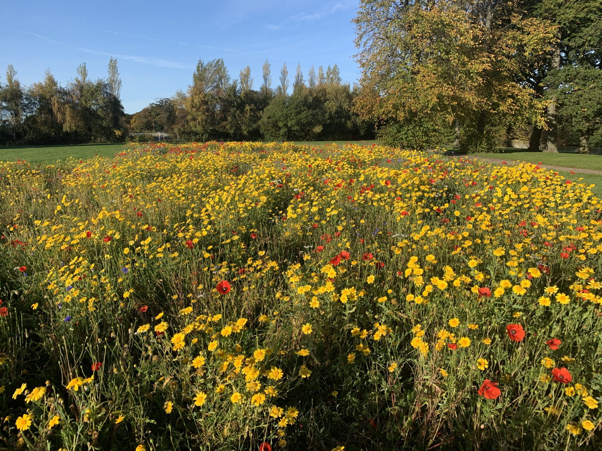 Forthquarter Park - Granton Waterfront